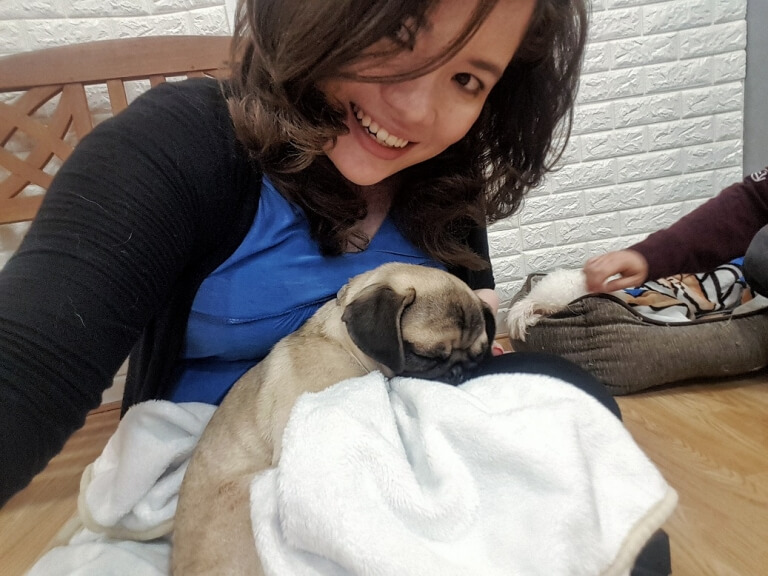 Take a look inside Dog and Scone: Newcastle Upon Tyne First Dog Cafe