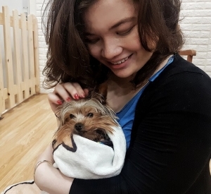 Take a look inside Dog and Scone: Newcastle Upon Tyne First Dog Cafe