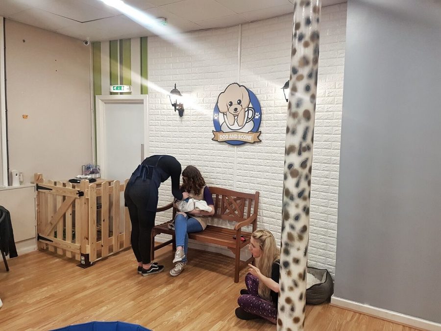 Take a look inside Dog and Scone: Newcastle Upon Tyne First Dog Cafe